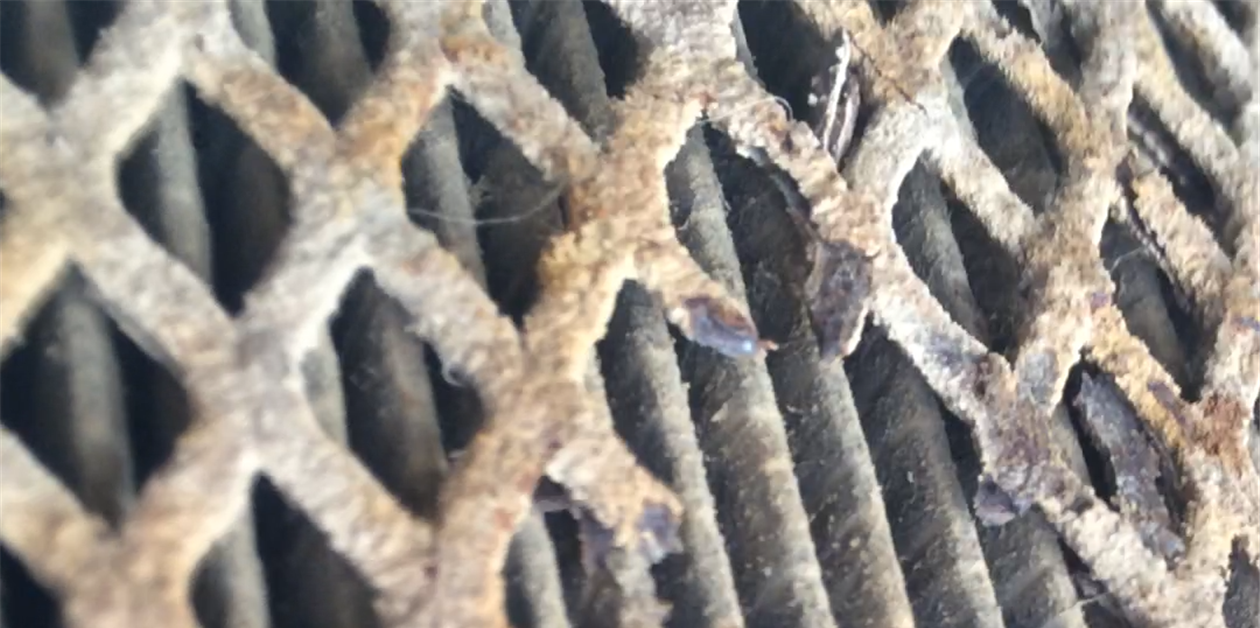 The Evolution of Turbine Filtration - Power Progress