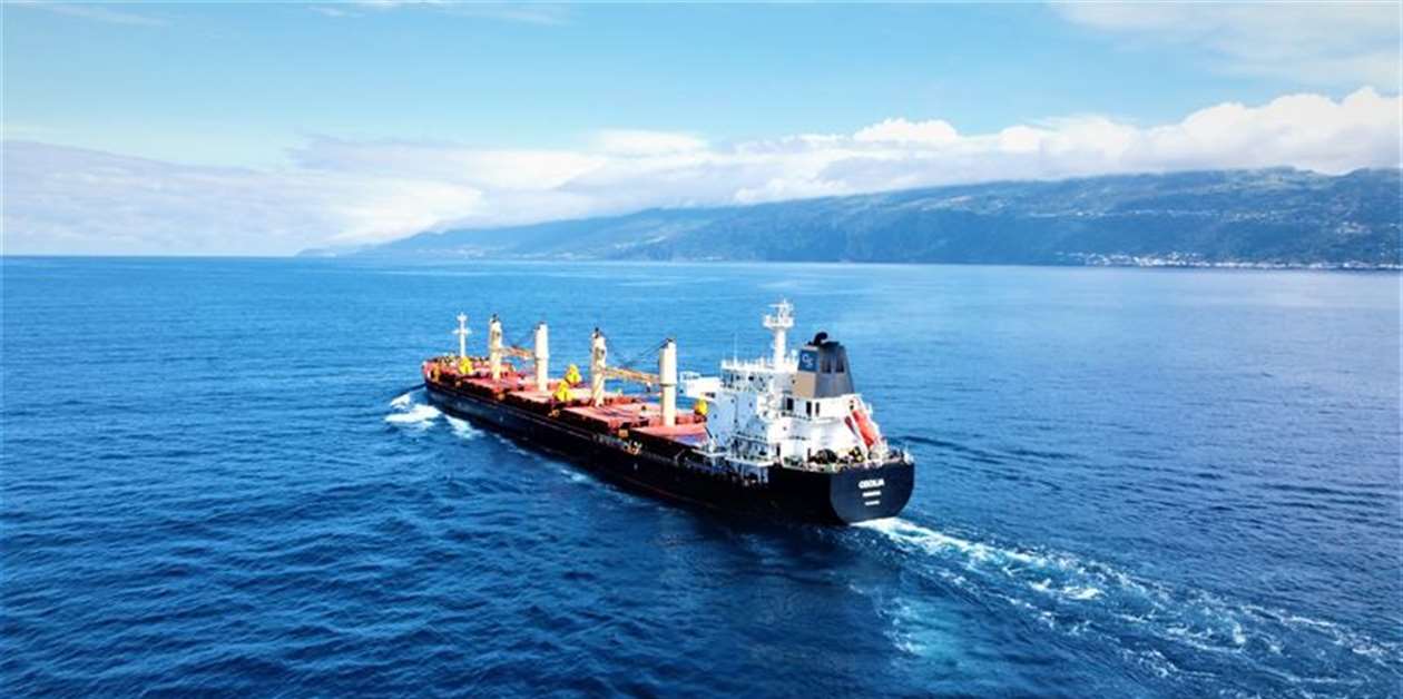Wärtsilä platform helps shipper save 600 tons of CO2 in 2022 - Power ...
