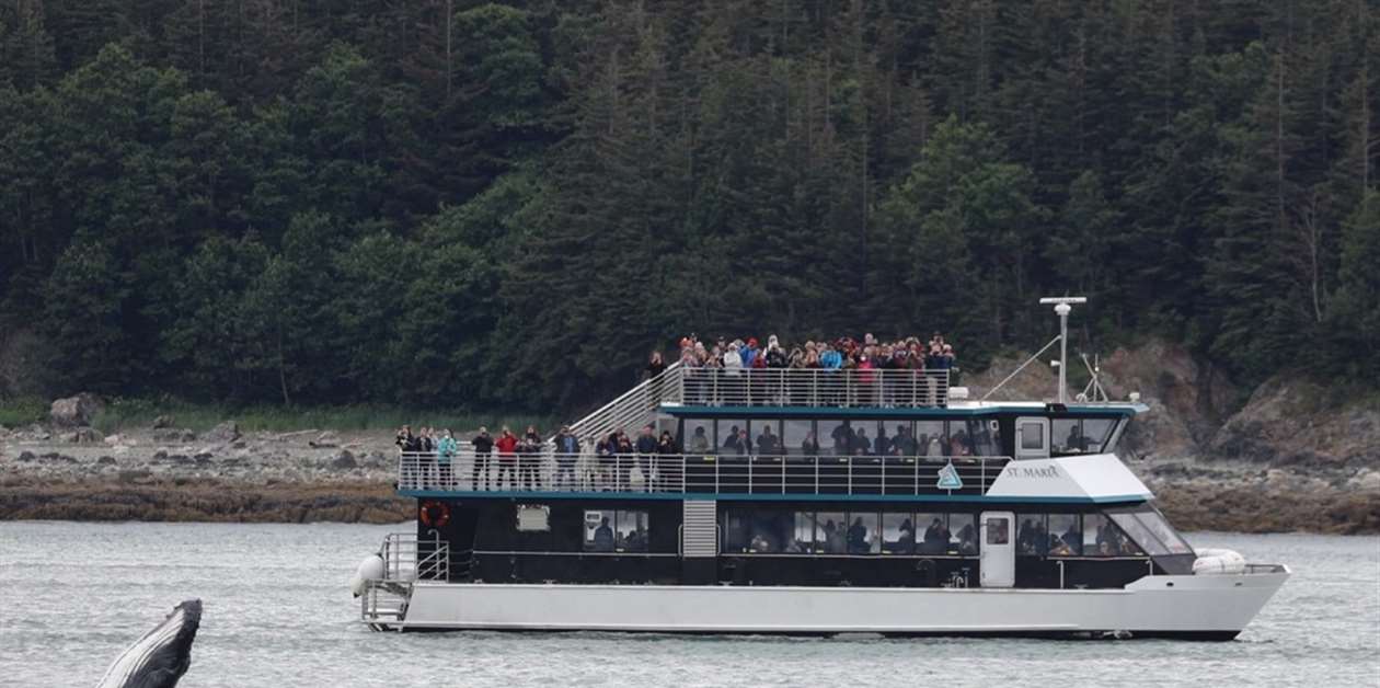 Allen Marine Tours repowers eco catamarans with Scania engines - Power ...