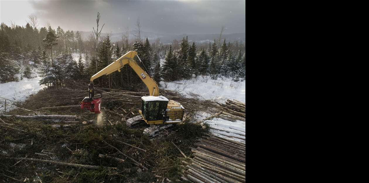 Caterpillar introduces new forest machine for woods and mill-yard works ...