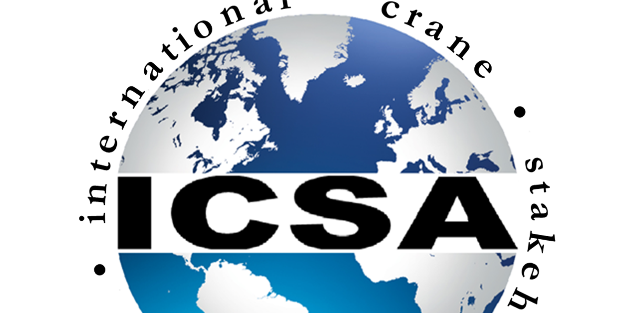 Act now on ICSA crane safety guidance - Power Progress
