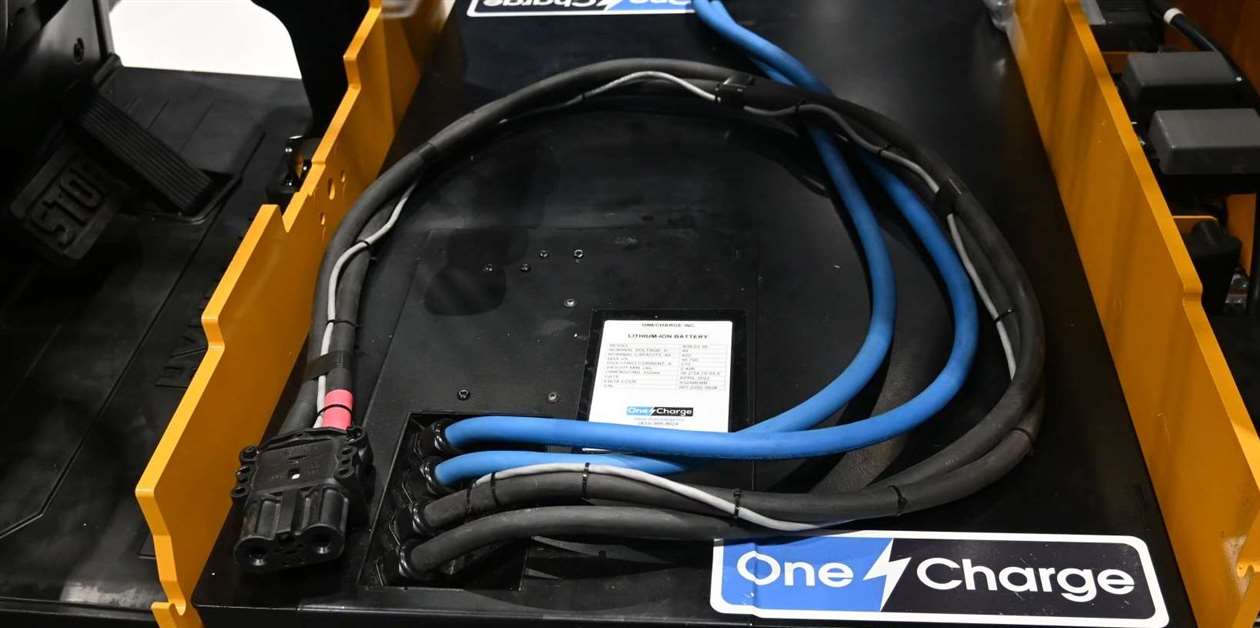 Global Battery Alliance executive director on battery passports and a ...