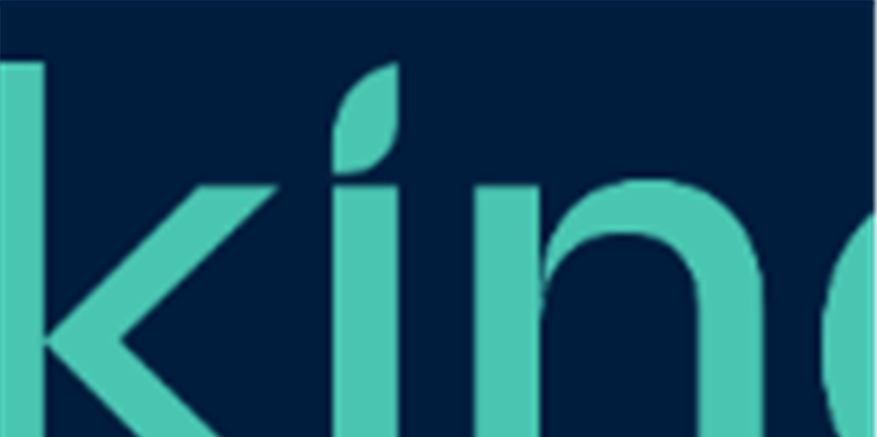 Kinell is new brand for decarbonisation, automation - Power Progress