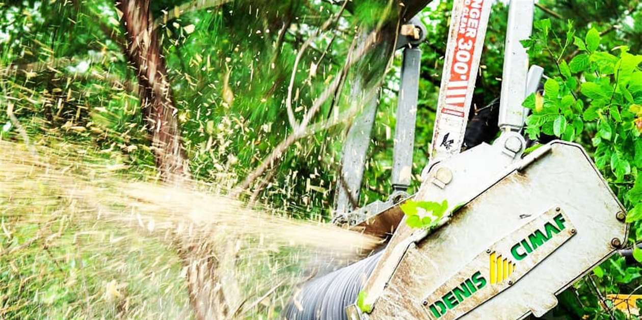 Morbark Adds Denis Cimaf - Power Progress